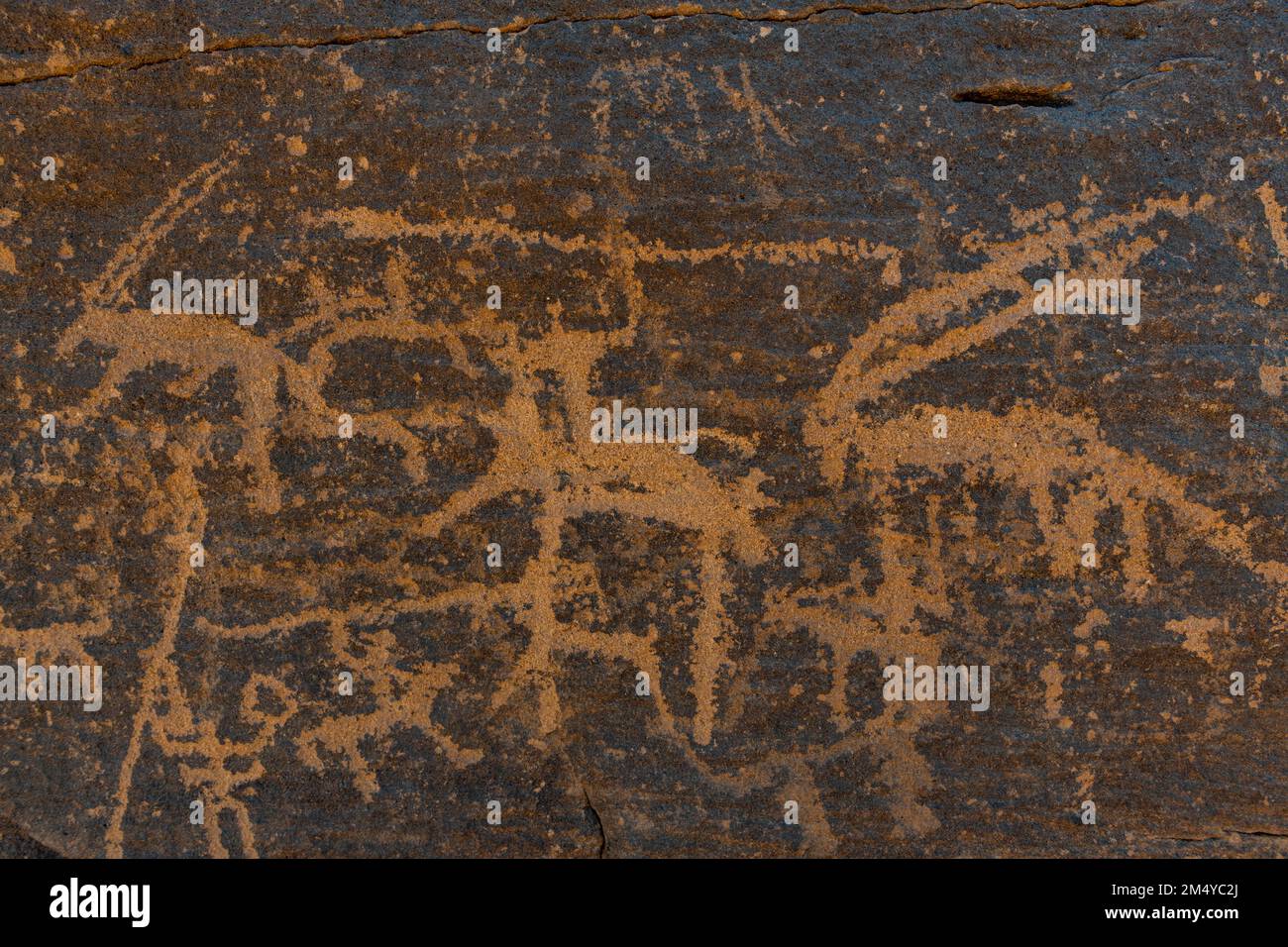 Rock carvings, Unesco site Bir Hima Rock Petroglyphs and Inscriptions ...