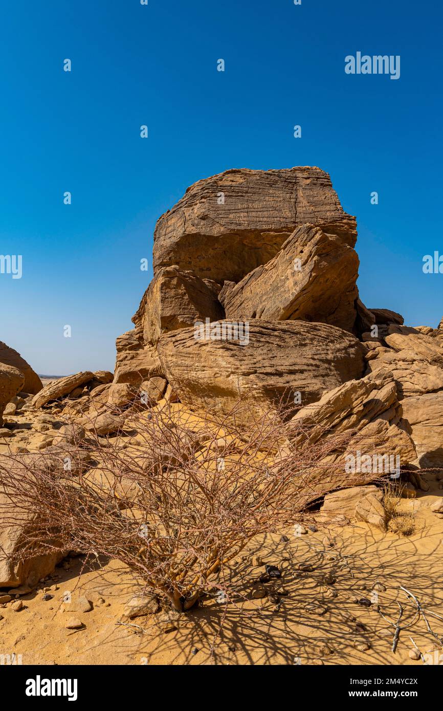 Rock carvings, Unesco site Bir Hima Rock Petroglyphs and Inscriptions ...