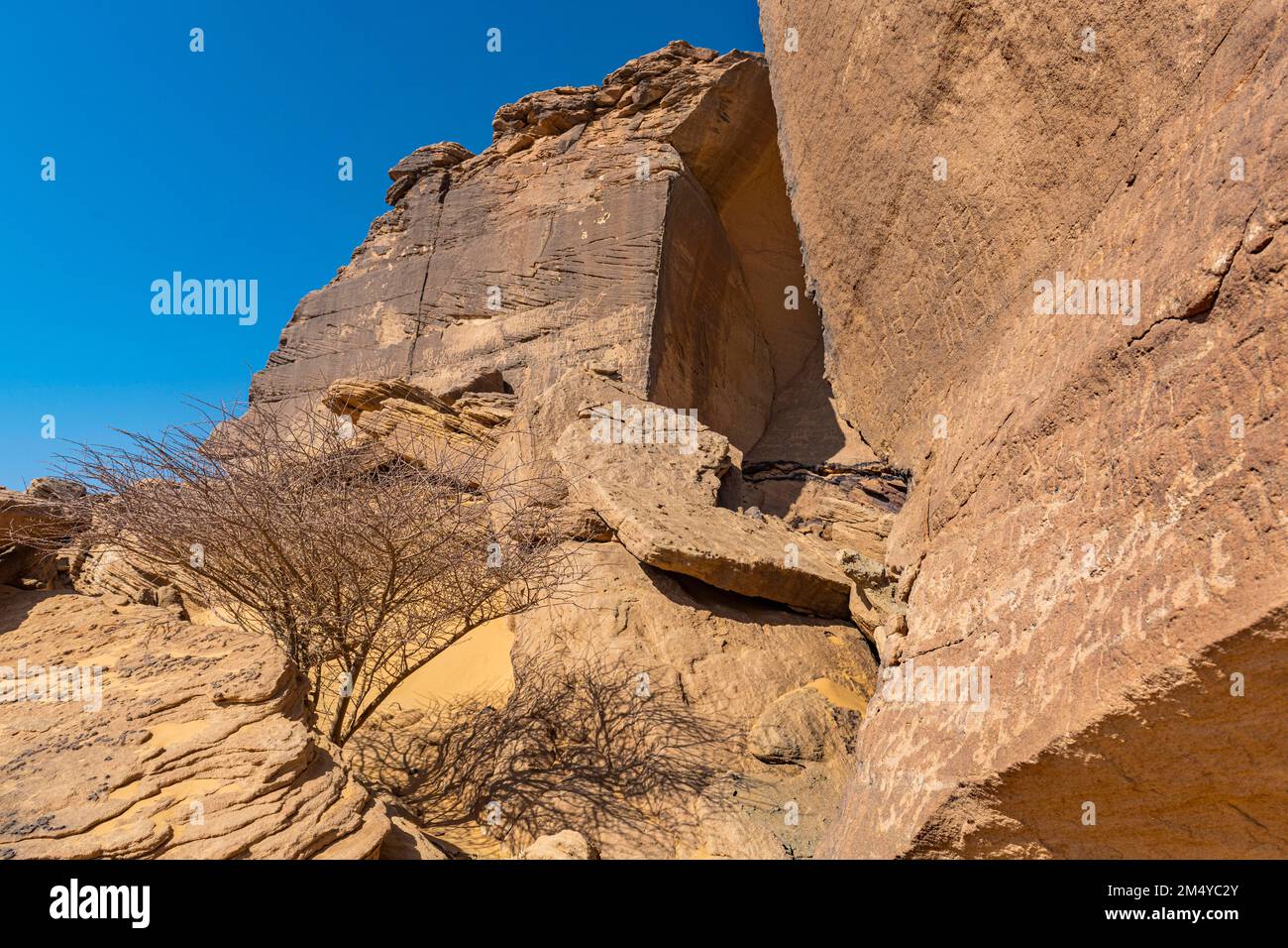 Rock carvings, Unesco site Bir Hima Rock Petroglyphs and Inscriptions ...