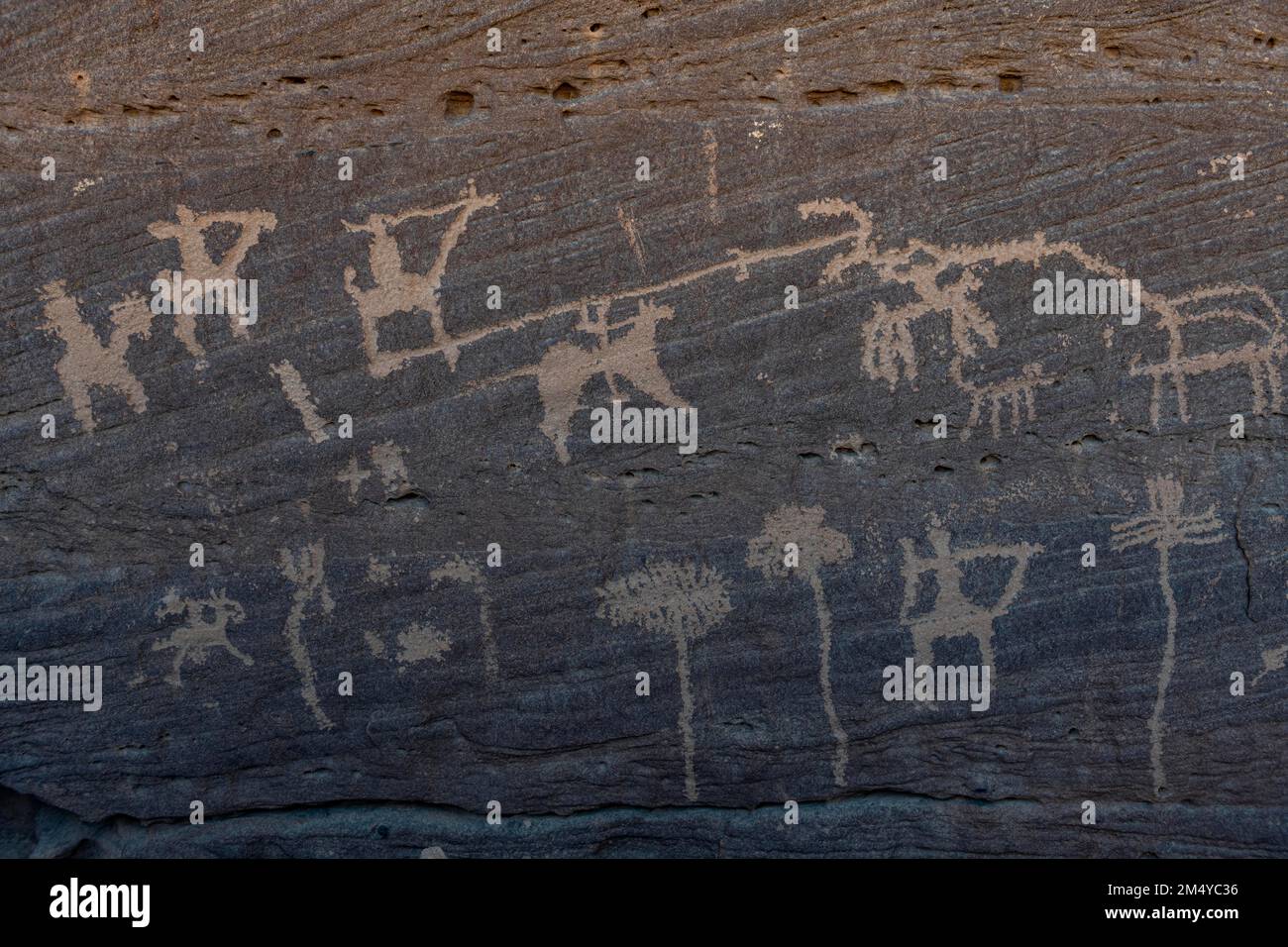 Rock carvings, Unesco site Bir Hima Rock Petroglyphs and Inscriptions ...