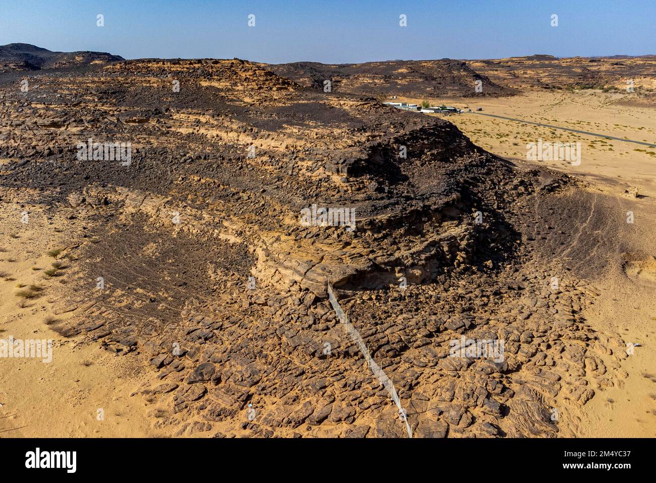 Hima saudi hi-res stock photography and images - Alamy