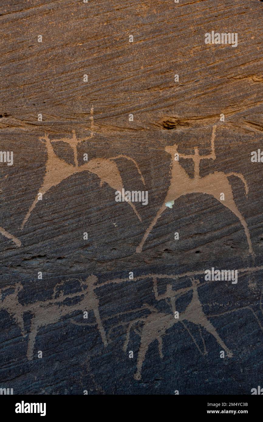 Rock carvings, Unesco site Bir Hima Rock Petroglyphs and Inscriptions ...