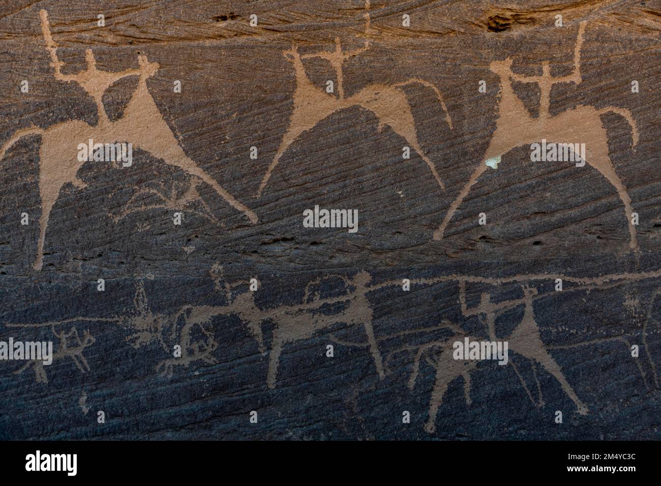Rock carvings, Unesco site Bir Hima Rock Petroglyphs and Inscriptions ...