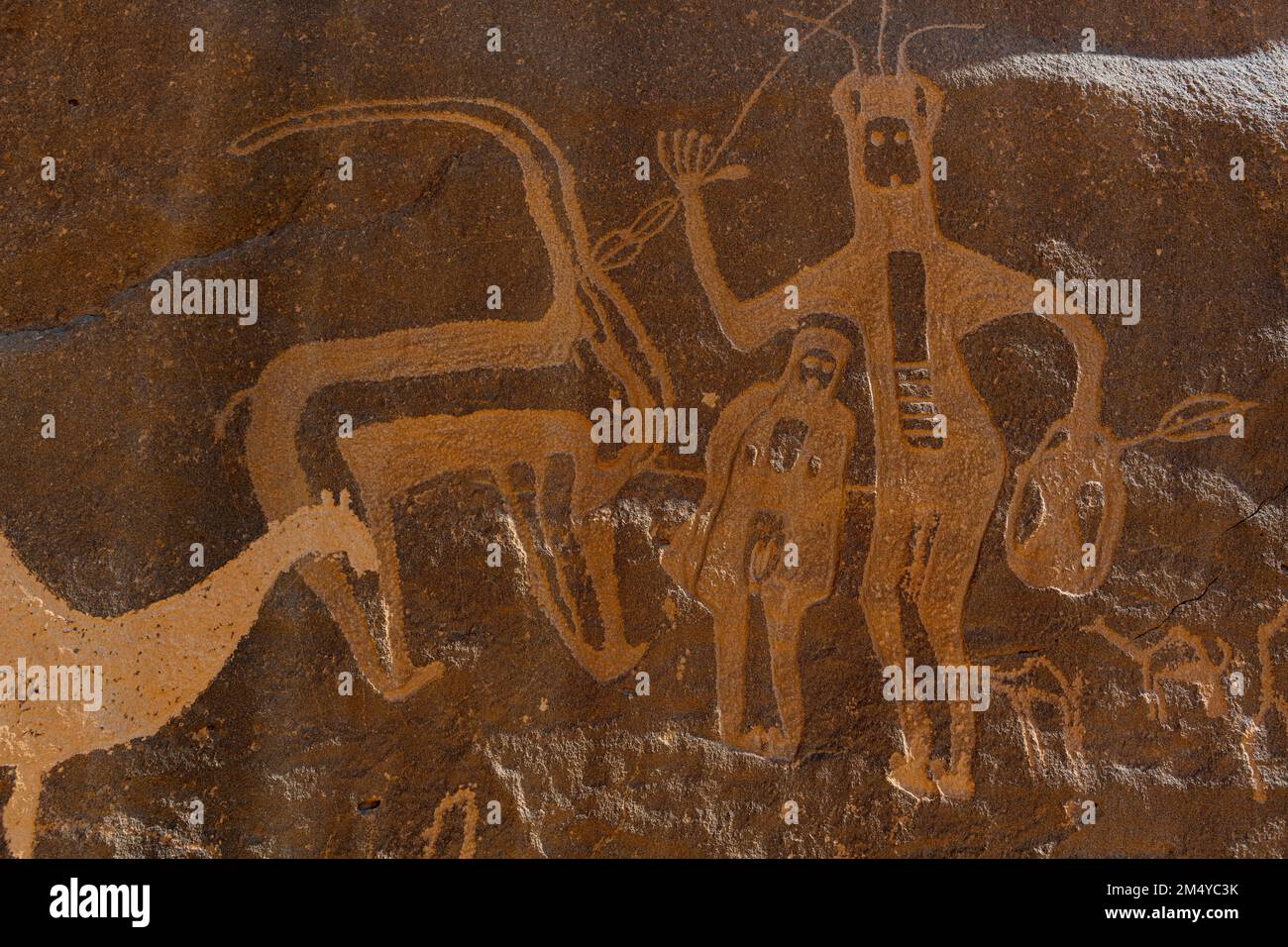 Rock carvings, Unesco site Bir Hima Rock Petroglyphs and Inscriptions ...
