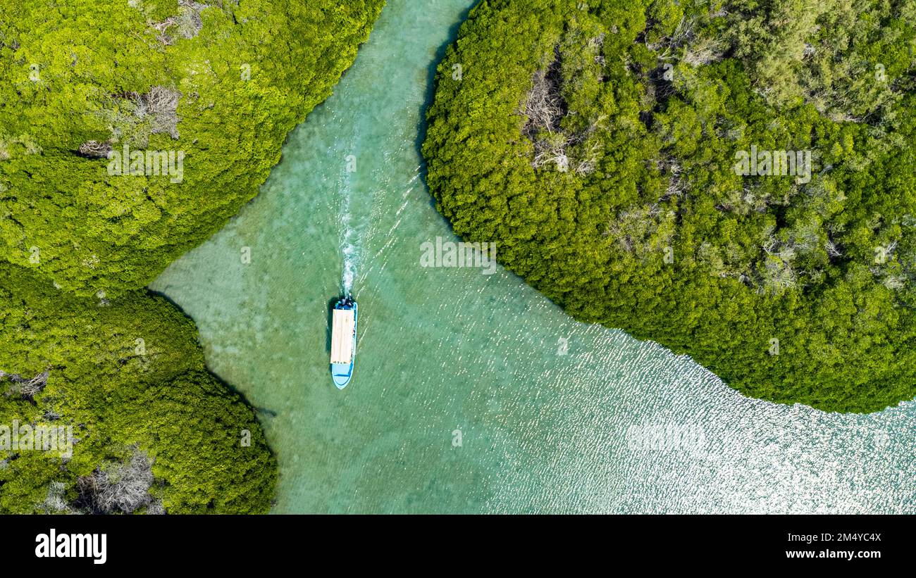Aerial of the Mangrove forest, Farasan islands, Kingdom of Saudi Arabia ...