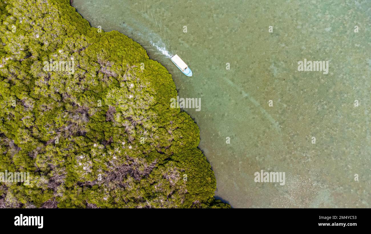 Aerial of the Mangrove forest, Farasan islands, Kingdom of Saudi Arabia ...