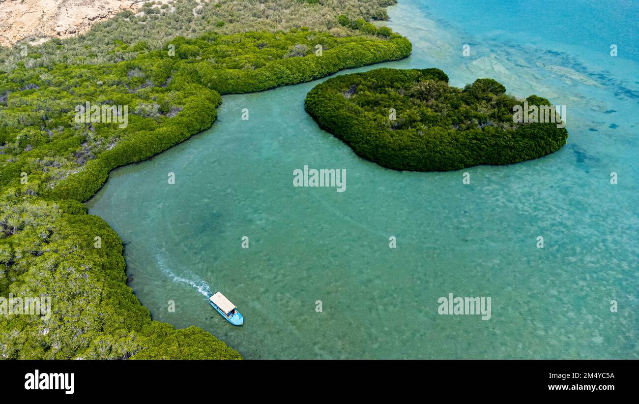 Aerial of the Mangrove forest, Farasan islands, Kingdom of Saudi Arabia ...