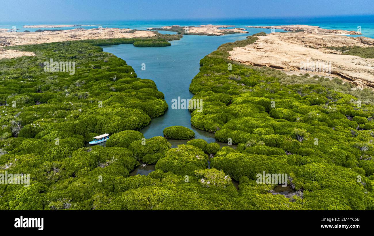 Aerial of the Mangrove forest, Farasan islands, Kingdom of Saudi Arabia Stock Photo - Alamy