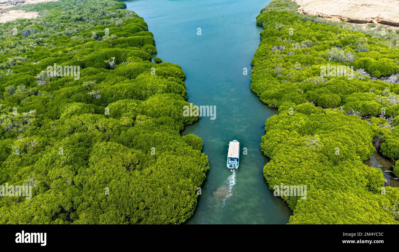 Aerial of the Mangrove forest, Farasan islands, Kingdom of Saudi Arabia ...