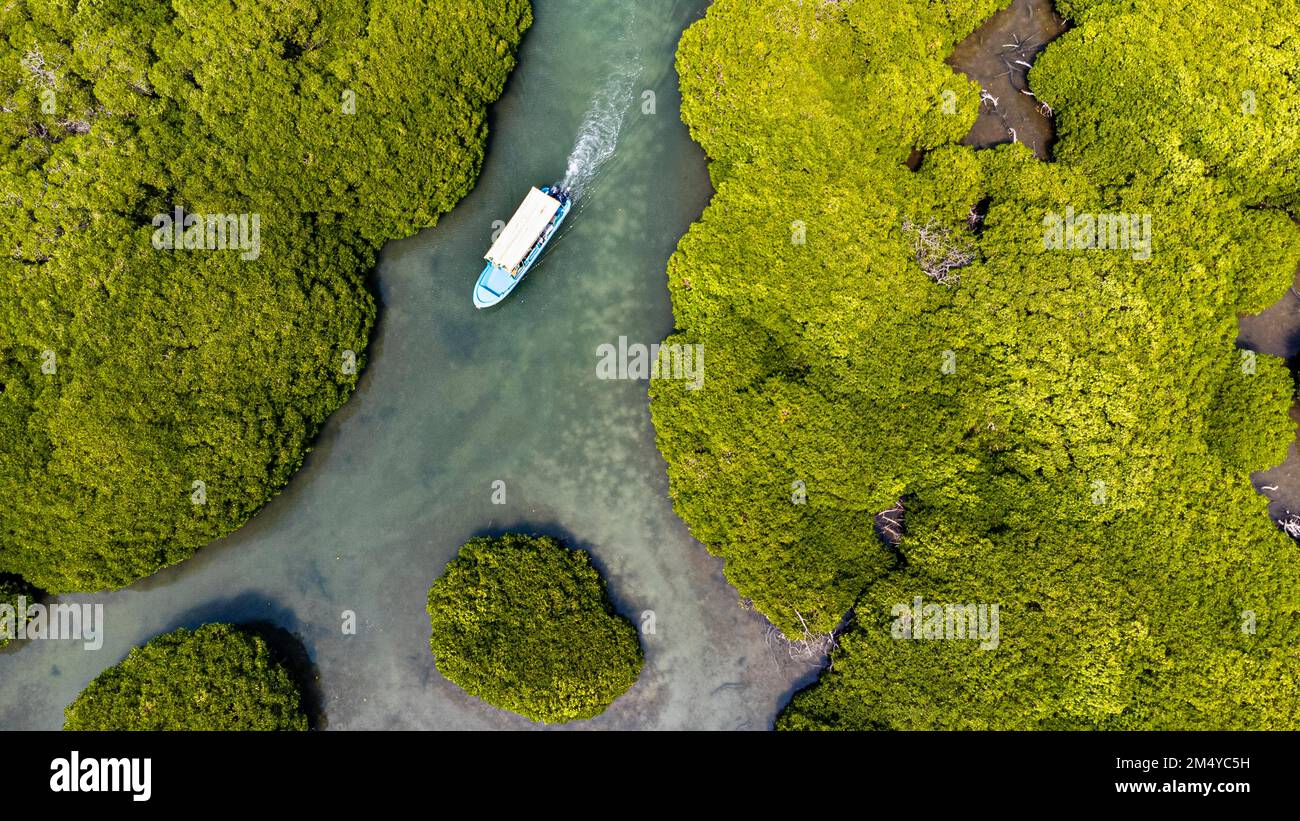 Aerial of the Mangrove forest, Farasan islands, Kingdom of Saudi Arabia ...