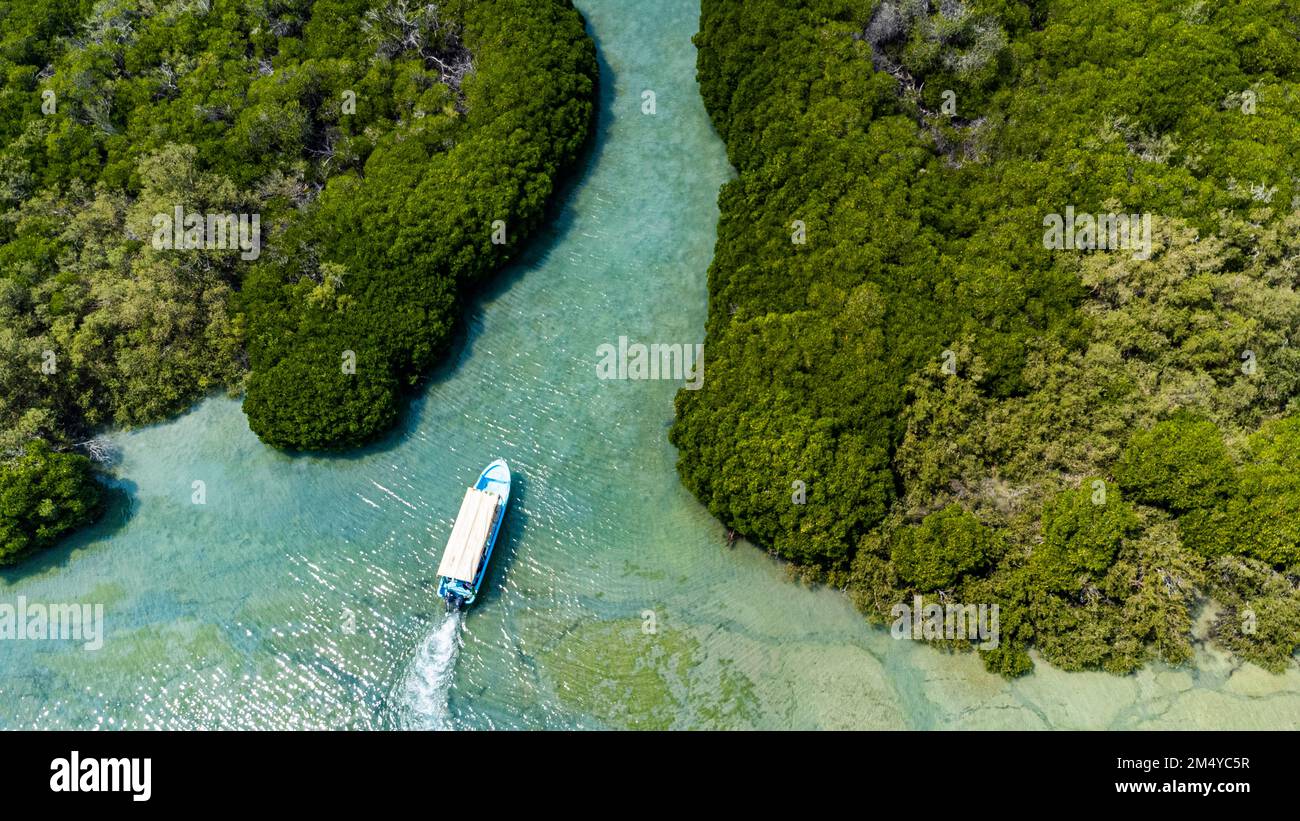 Aerial of the Mangrove forest, Farasan islands, Kingdom of Saudi Arabia ...