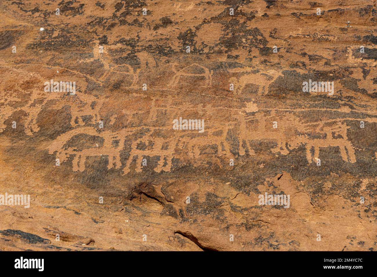Unesco site Rock Art in the Ha'il Region, Jubbah, Kingdom of Saudi ...
