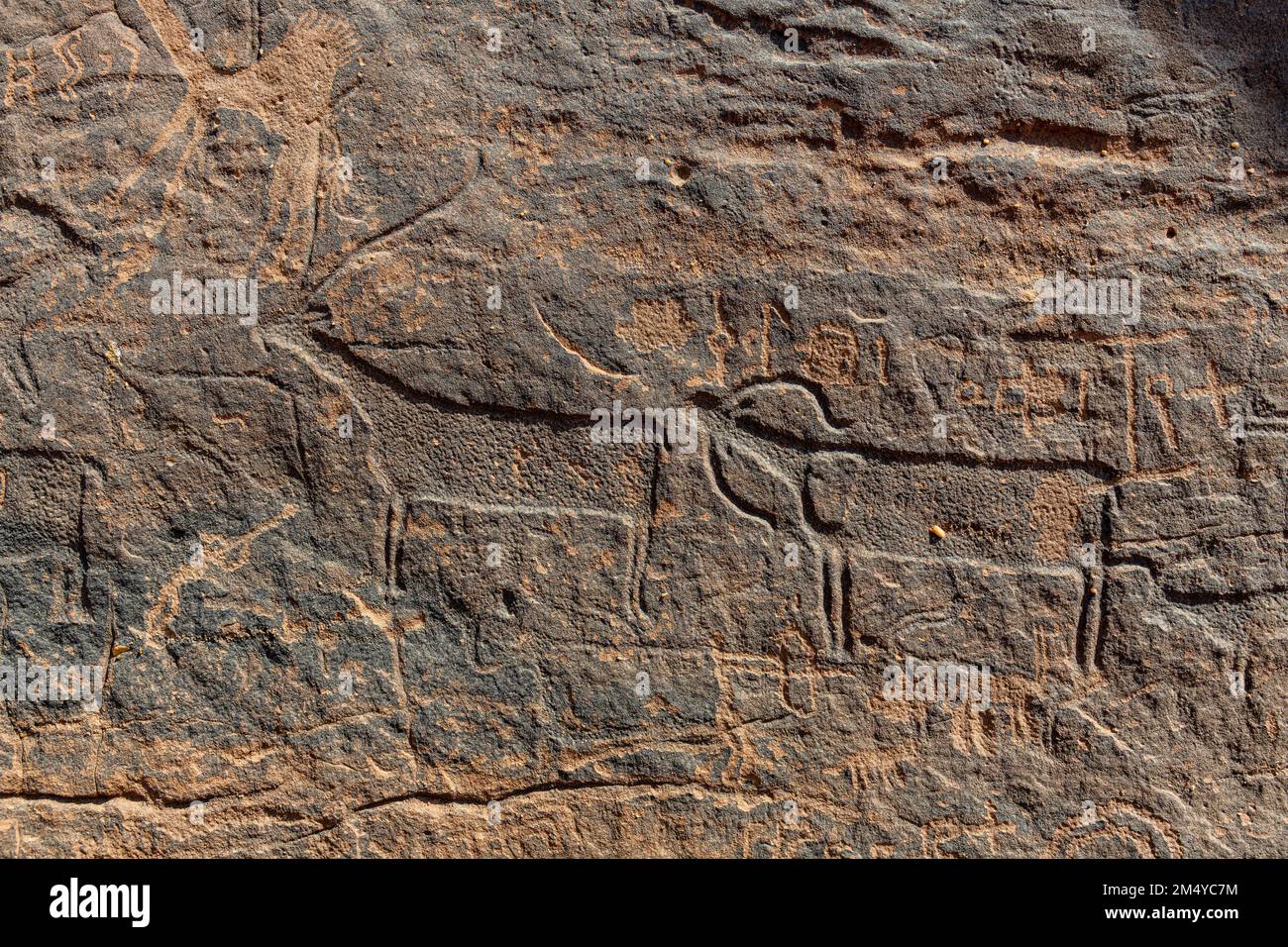 Unesco site Rock Art in the Ha'il Region, Jubbah, Kingdom of Saudi ...