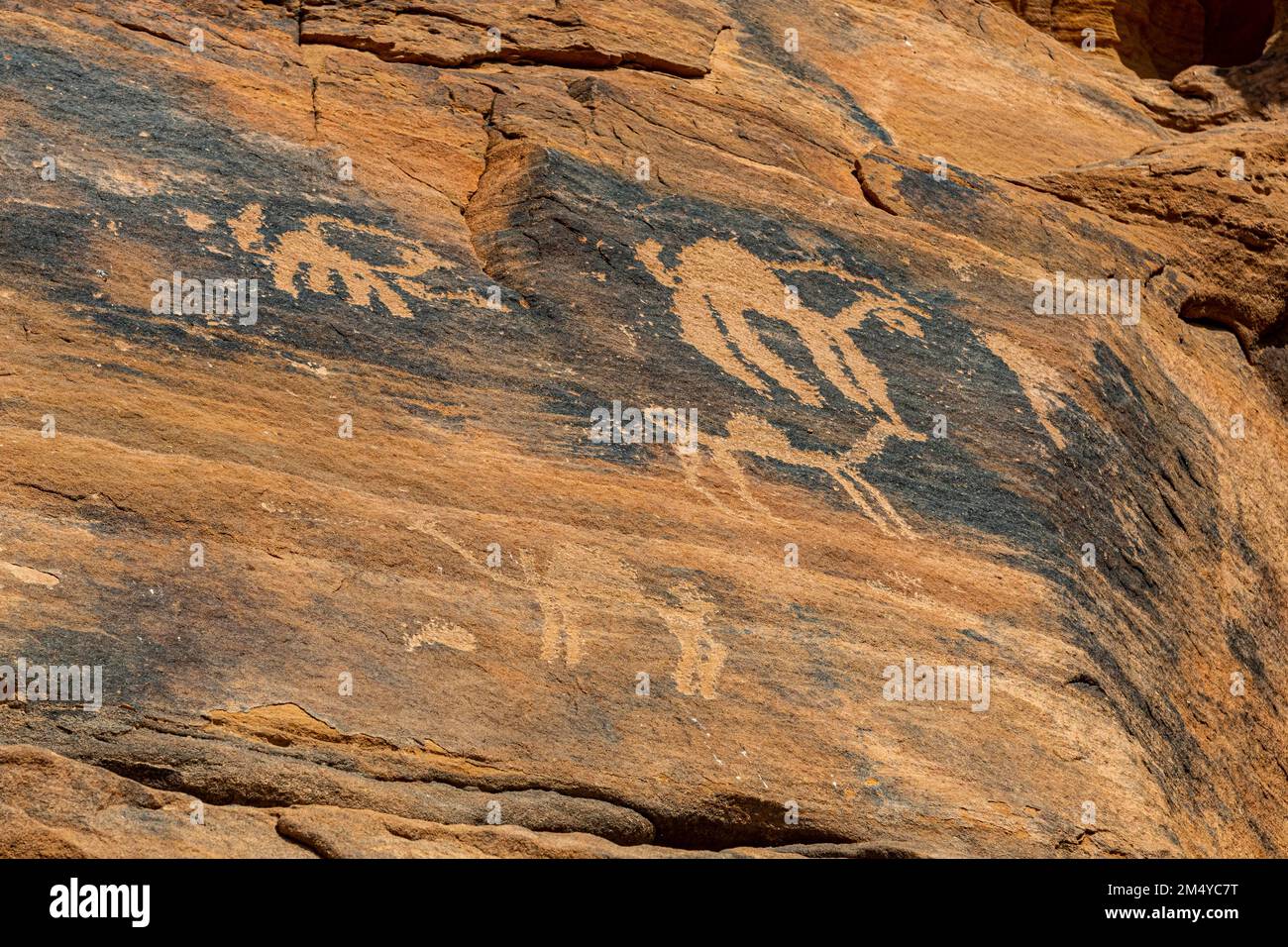 Unesco site Rock Art in the Ha'il Region, Jubbah, Kingdom of Saudi ...