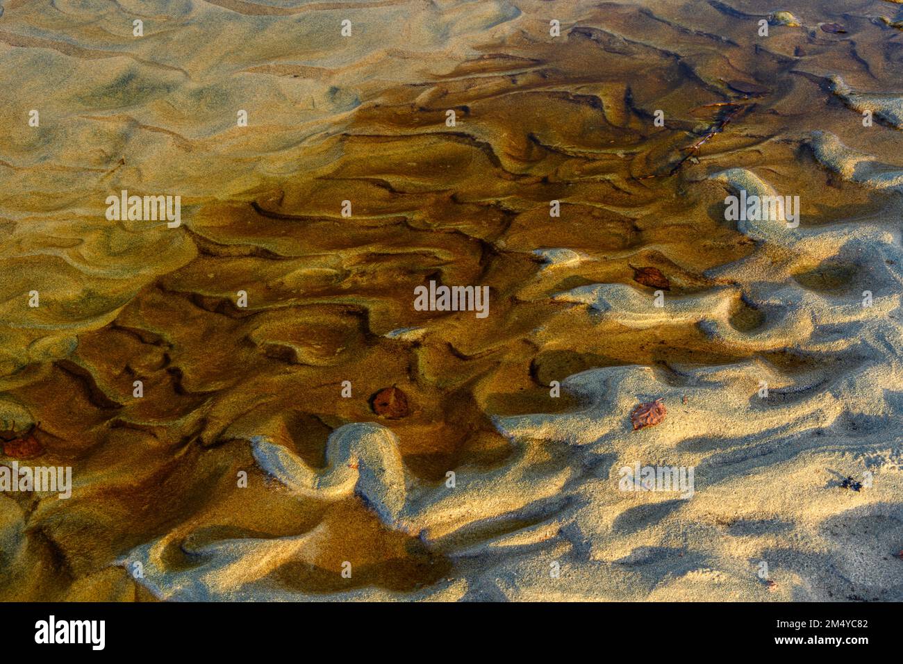 Sand ripple patterns on Lake Superior in an unnamed creek at Sandy ...