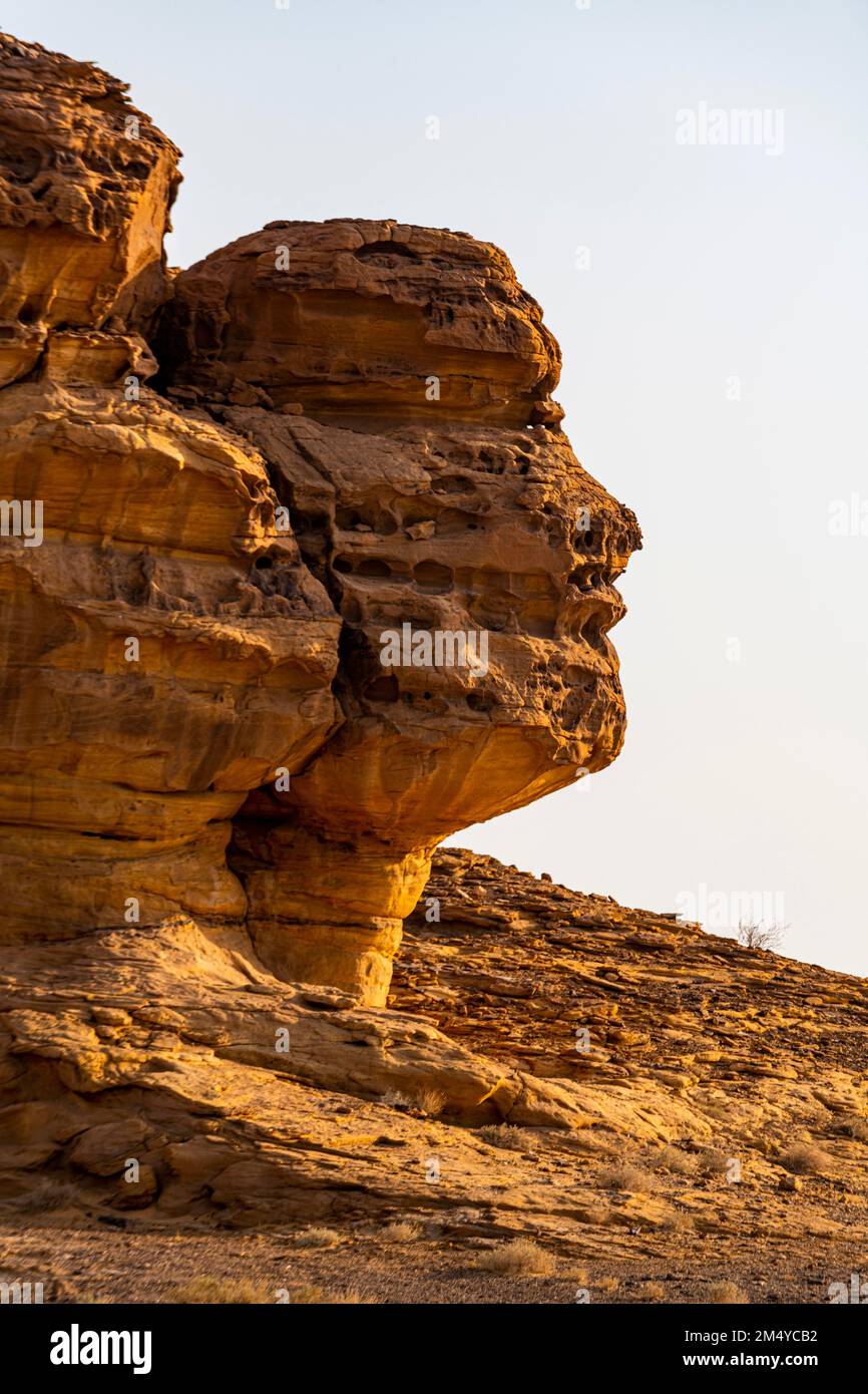 Rock in form of a face, Unesco site Maidain Saleh or Hegra, Al Ula ...