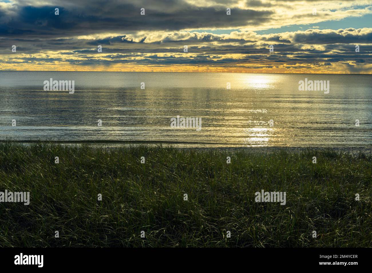 Fragile beach ecosystem hi-res stock photography and images - Alamy