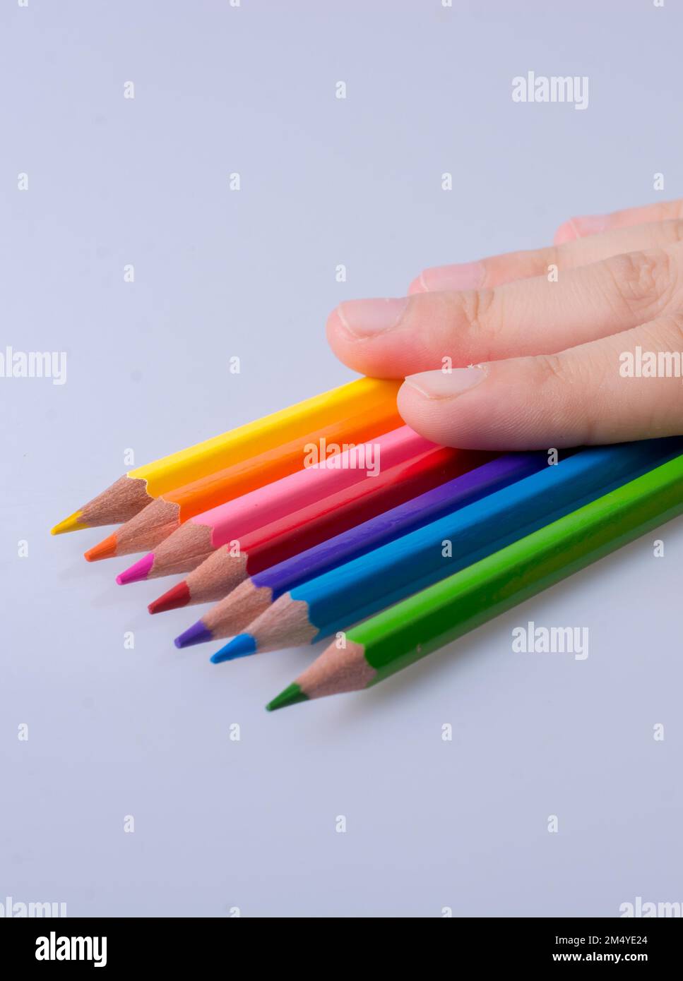 Hand holding color Pencils placed on a white background Stock Photo - Alamy