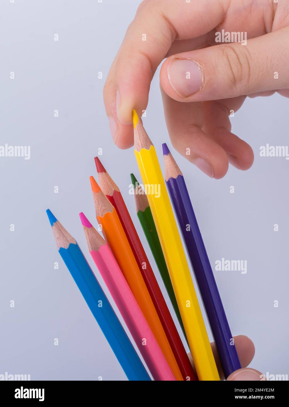 Hand holding color Pencils placed on a white background Stock Photo - Alamy