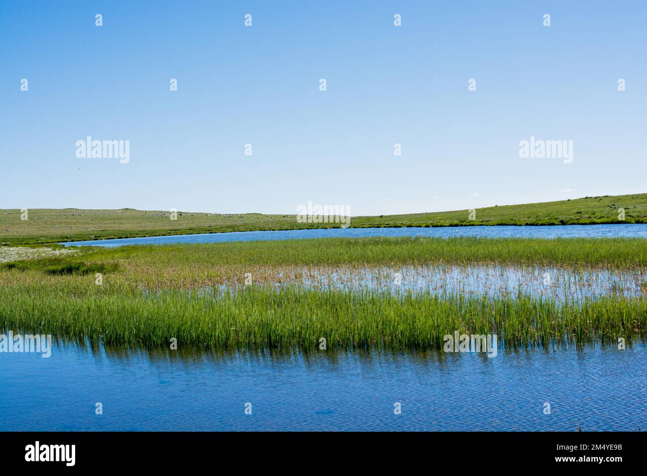 Highland lake in green natural background in Artvin province of Turkey ...