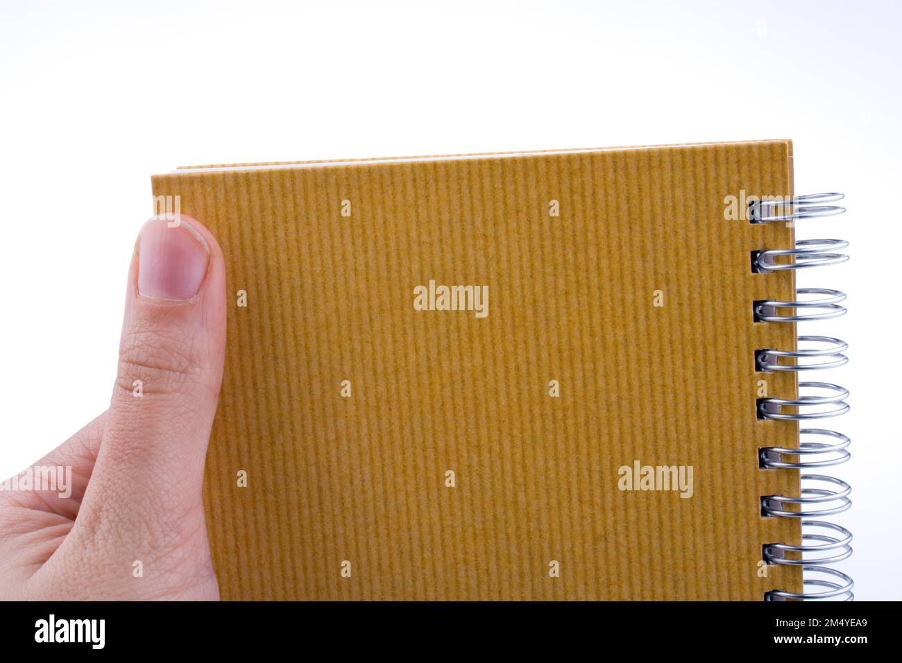 Hand holding a notebook on a white background Stock Photo - Alamy