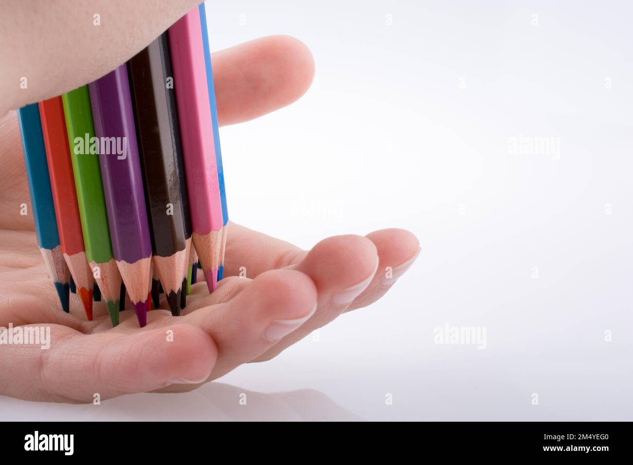 Hand holding color pencils on a white background Stock Photo - Alamy