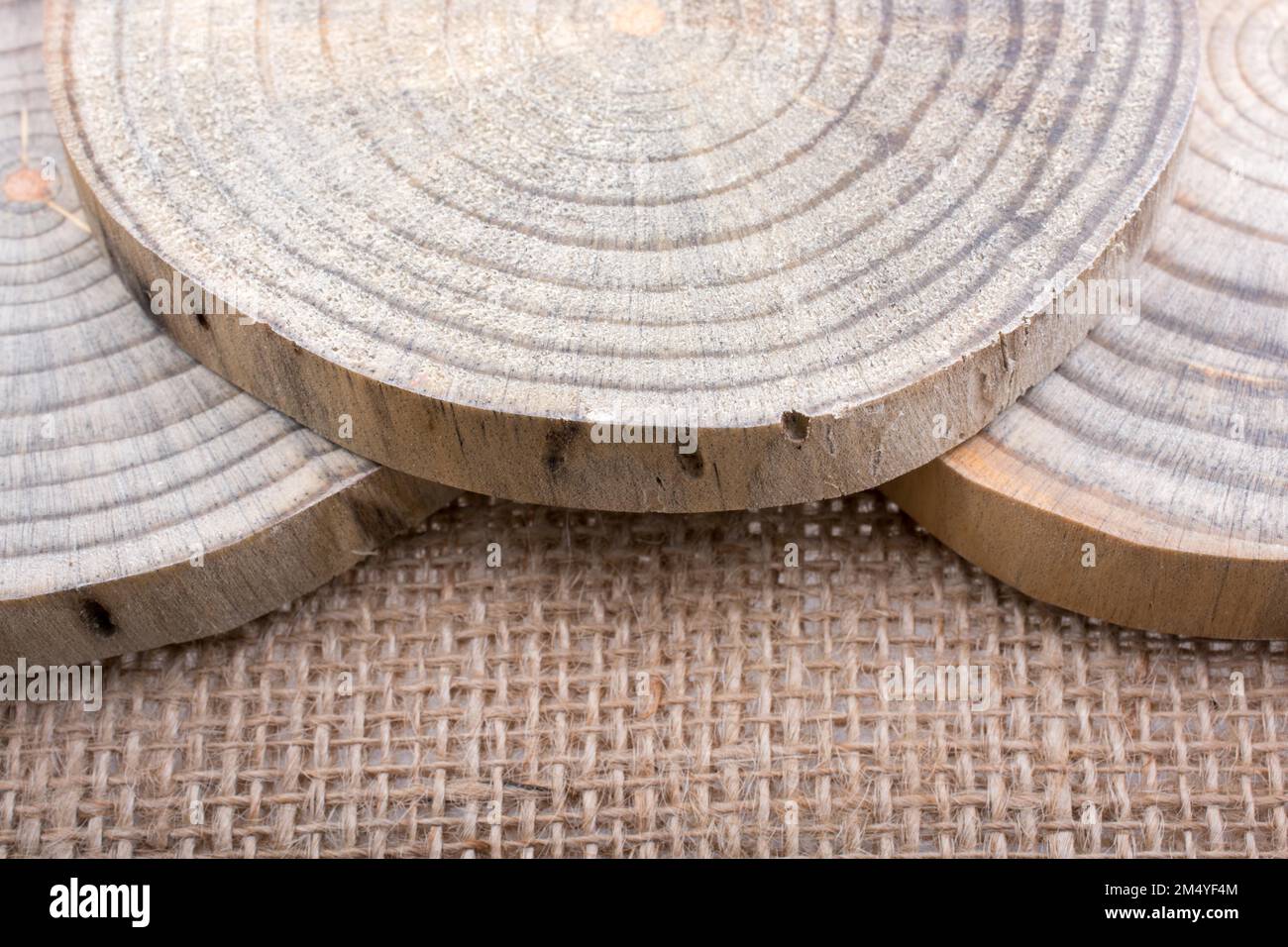 Wood Log cut in round thin pieces on canvas Stock Photo - Alamy