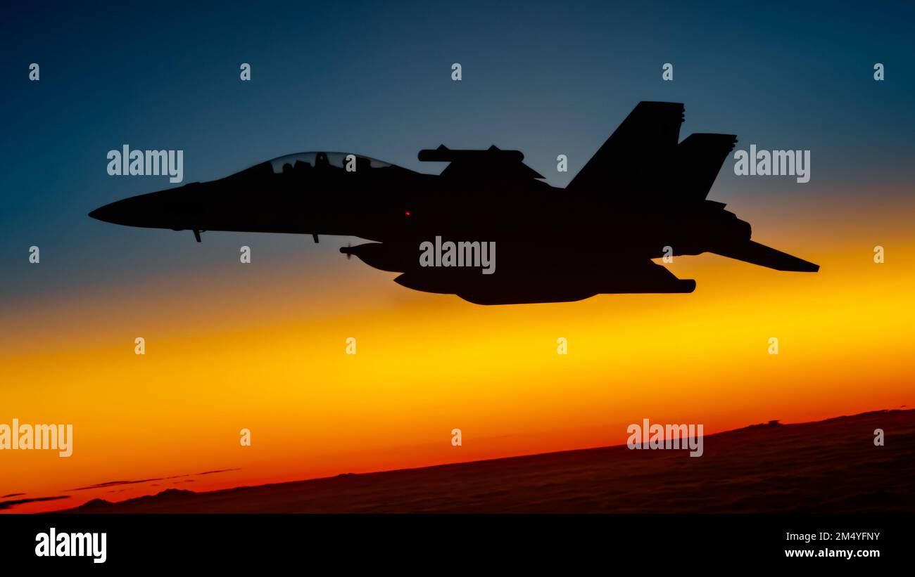 A U.S. Navy EA-18G Growler aircraft with Electronic Attack Squadron ...