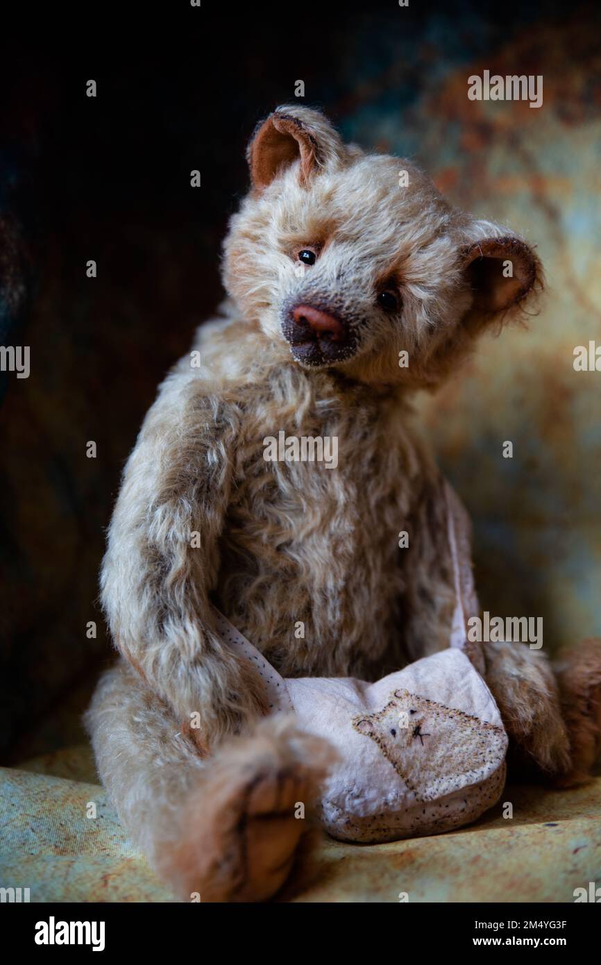 Bear calendar photo hi-res stock photography and images - Alamy