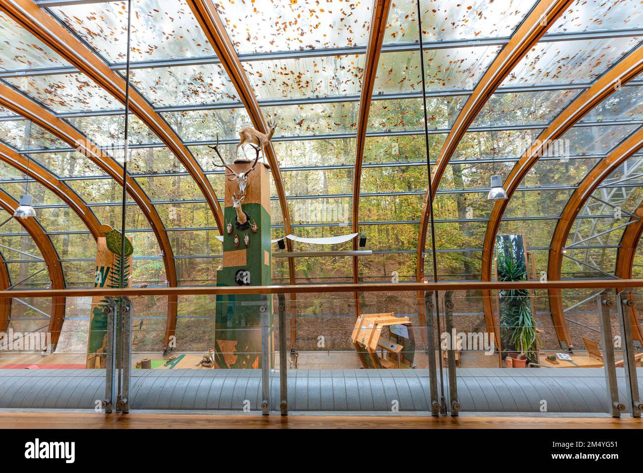 House of the Forest, Stuttgart, Germany Stock Photo - Alamy