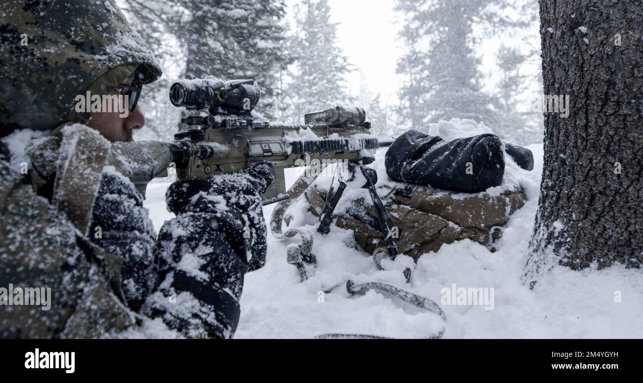 Counter reconnaissance hi-res stock photography and images - Alamy