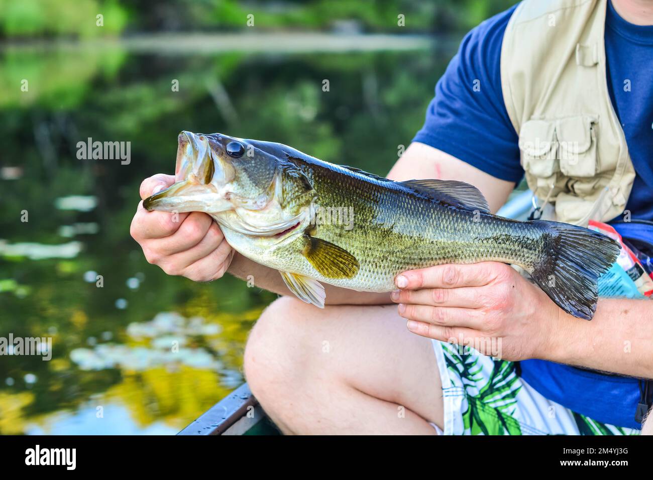Summer catch, active lifestyle freshwater fish hand in hand, great day ...