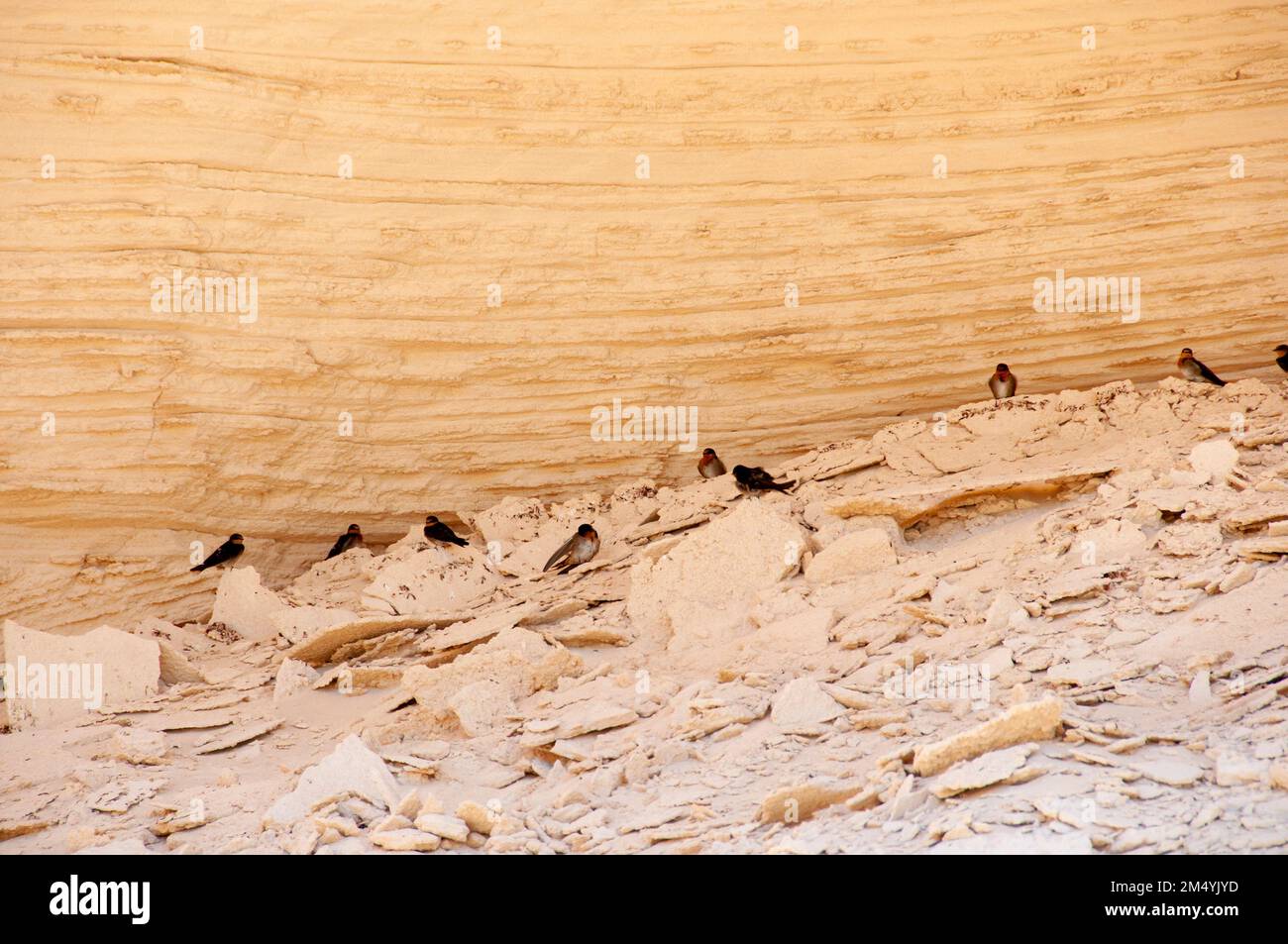 Swallow hole limestone hi-res stock photography and images - Alamy