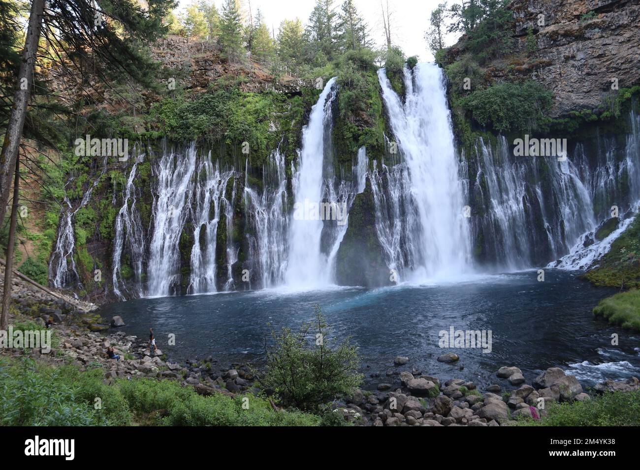 Burney Falls, Shastha Trinity Wilderness, California Stock Photo - Alamy