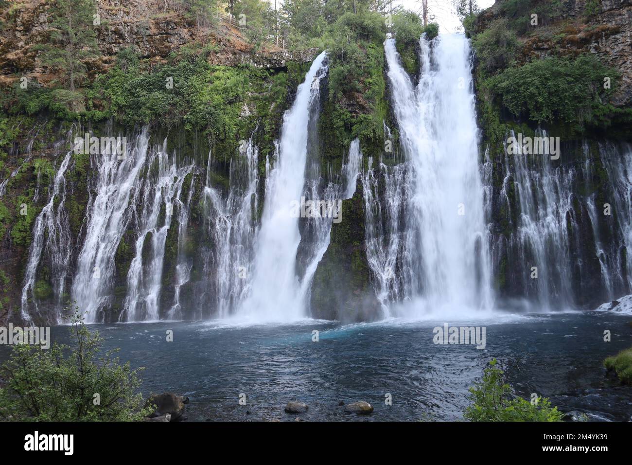 Burney Falls, Shastha Trinity Wilderness, California Stock Photo - Alamy
