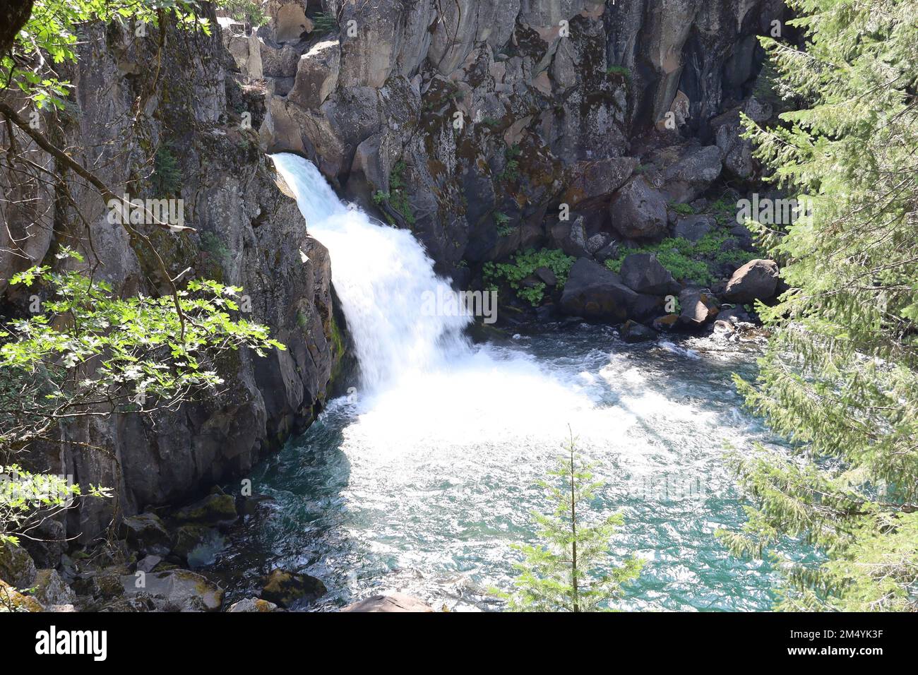McCloud Falls, Shastha Trinity Wilderness, California Stock Photo - Alamy