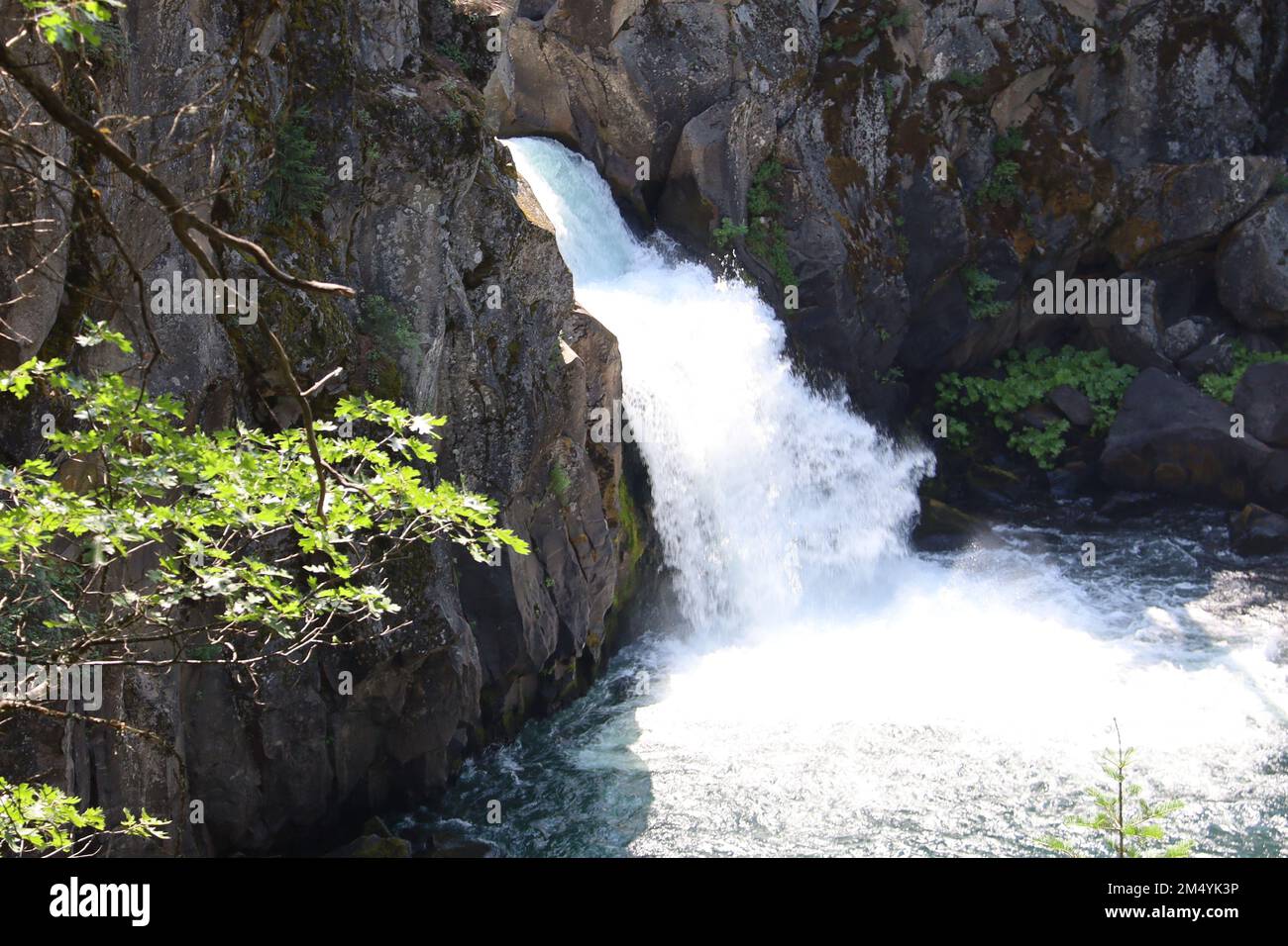 McCloud Falls, Shastha Trinity Wilderness, California Stock Photo - Alamy