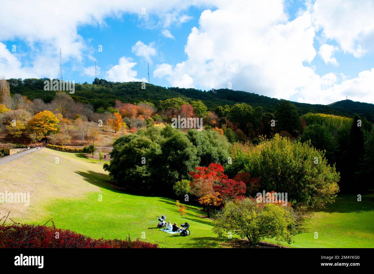 Mount Lofty Botanic Garden - South Australia Stock Photo - Alamy