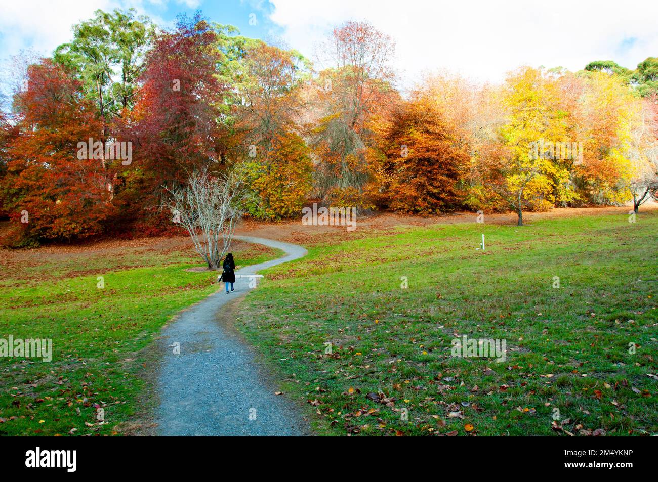 Mount Lofty Botanic Garden - South Australia Stock Photo - Alamy