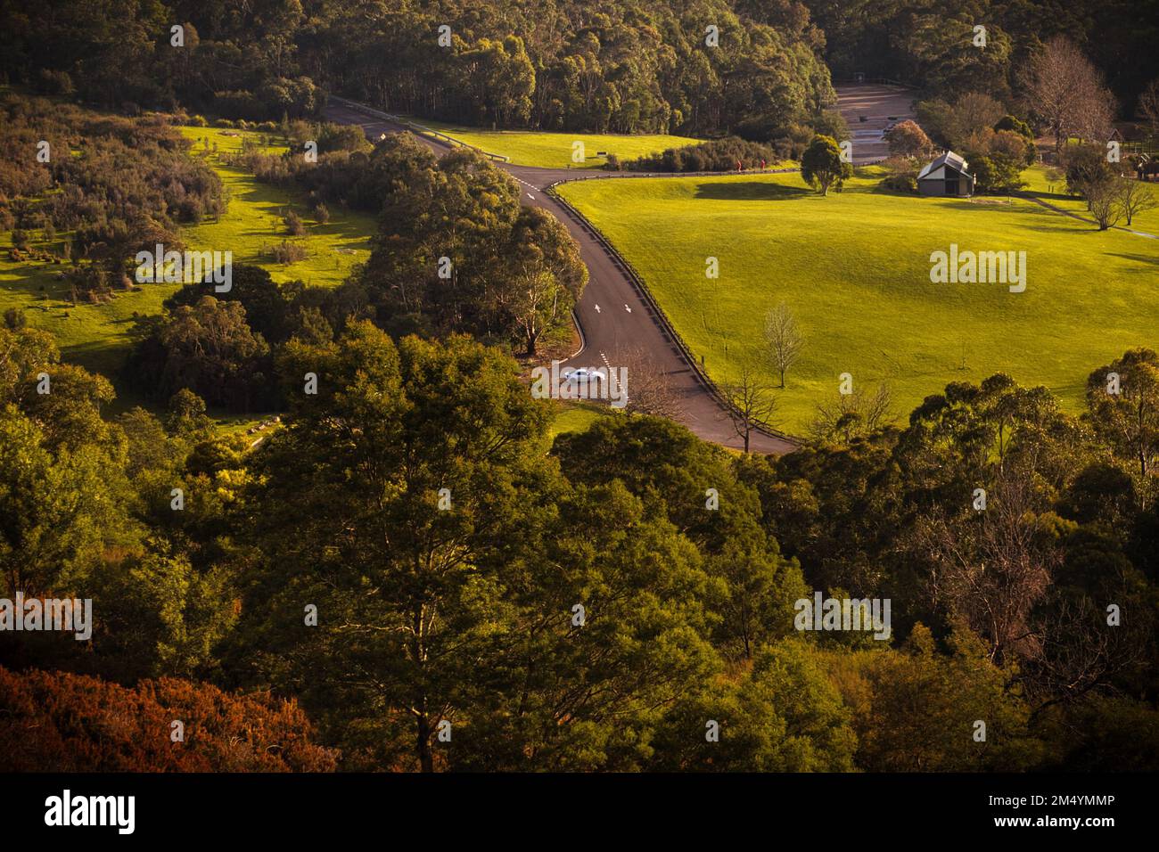 A landscape of Cardinia reservoir park with a lot of trees and hills ...