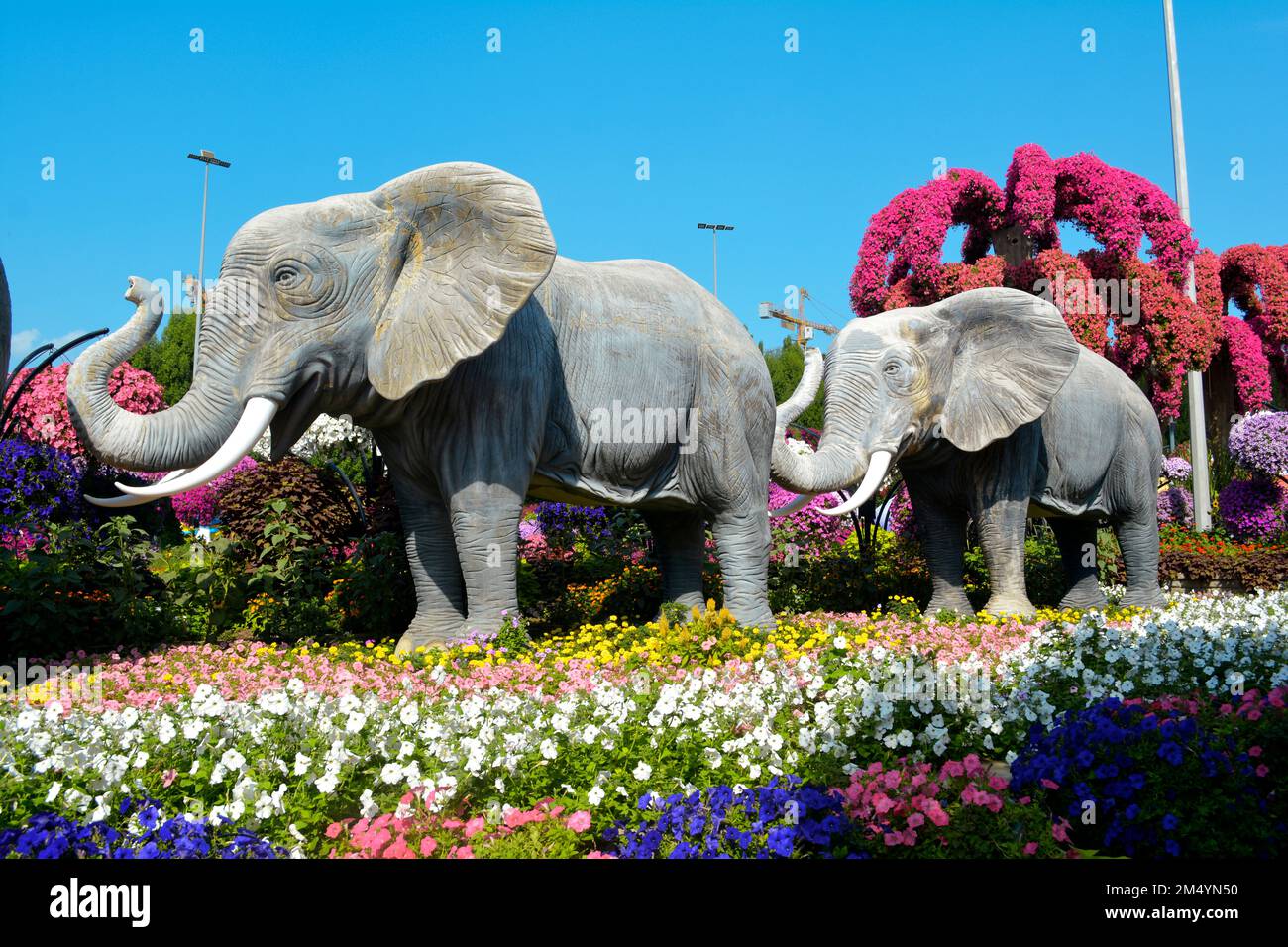 Dubai, United Arab Emirates (UAE), December 2022: Dubai Miracle Garden ...
