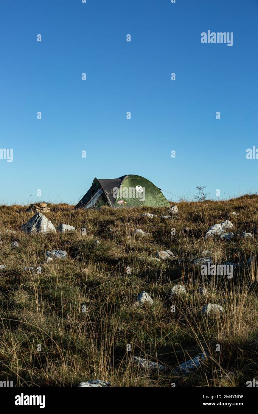 Coleman darwin 4 plus hi-res stock photography and images - Alamy