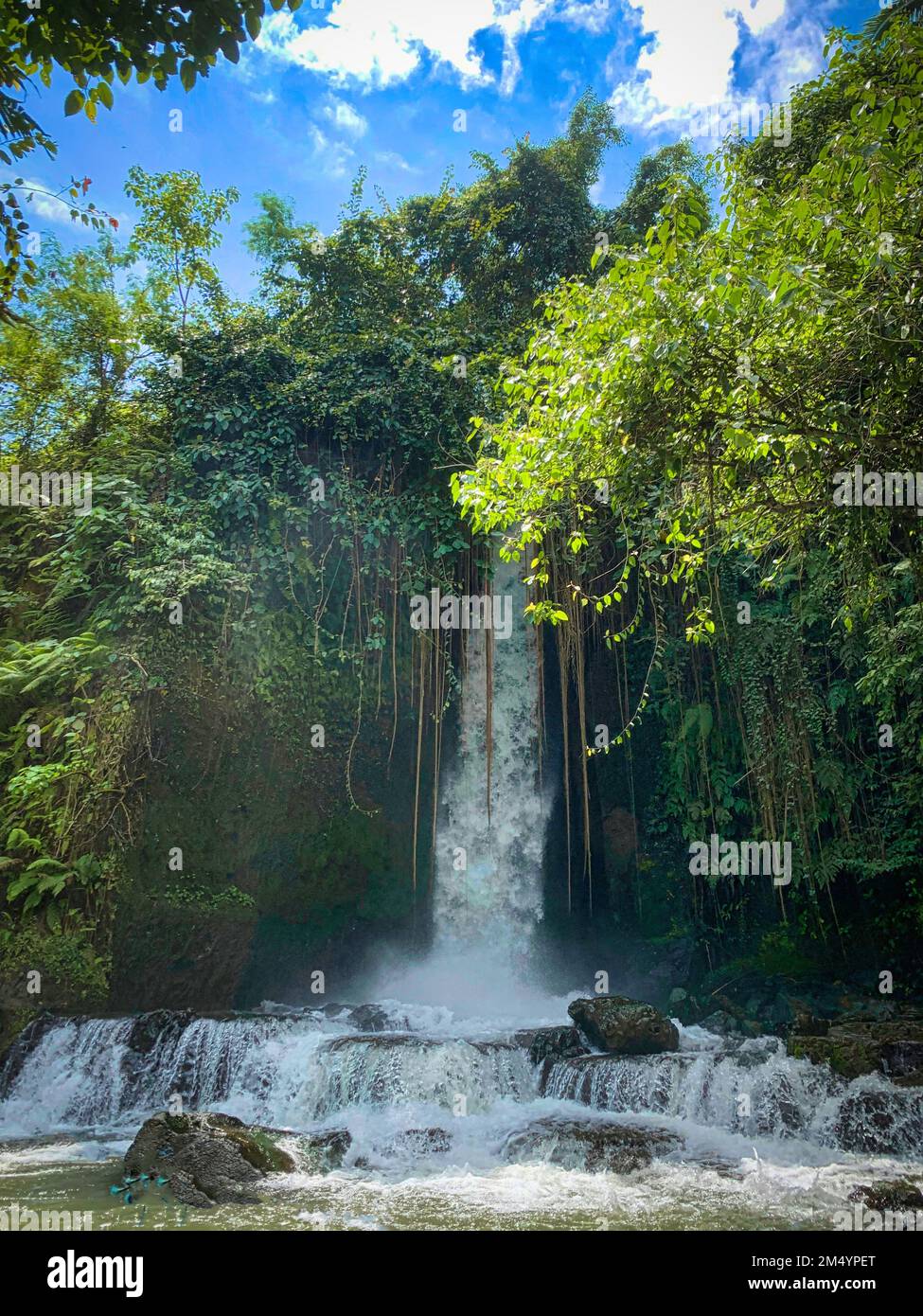 A vertical shot of a streaming waterfall in the woods Stock Photo - Alamy