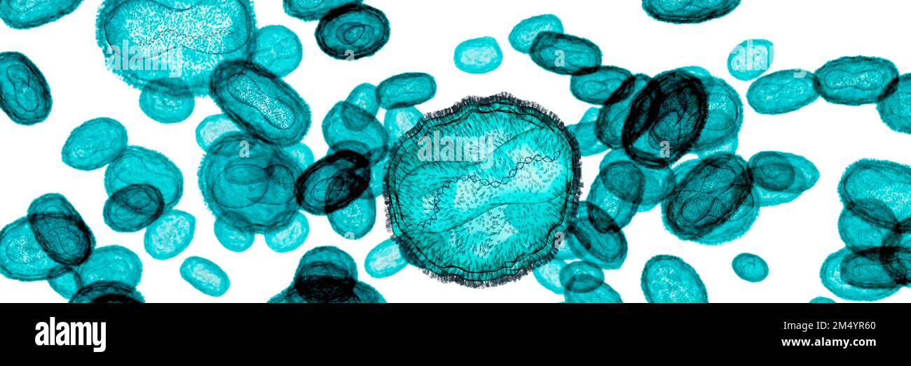 Monkeypox germ hi-res stock photography and images - Alamy