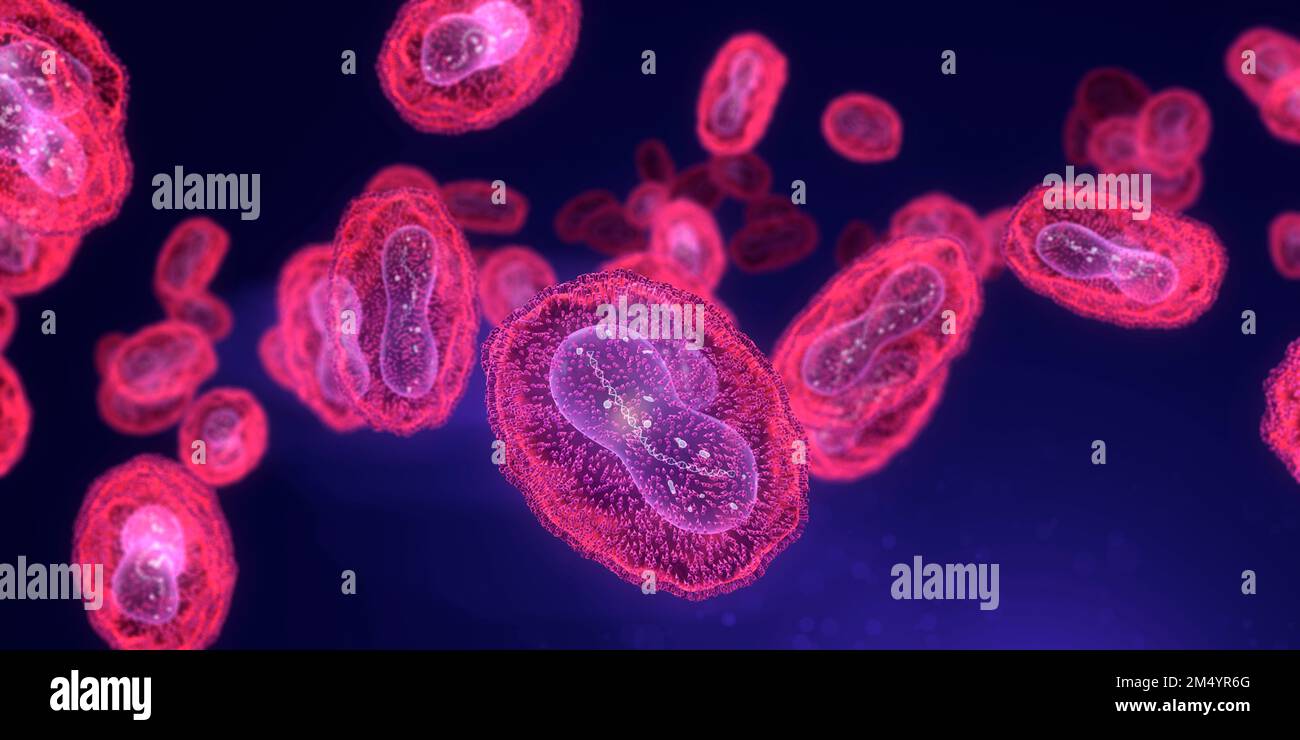 Monkeypox virus particles, illustration. Monkeypox is a zoonotic virus ...