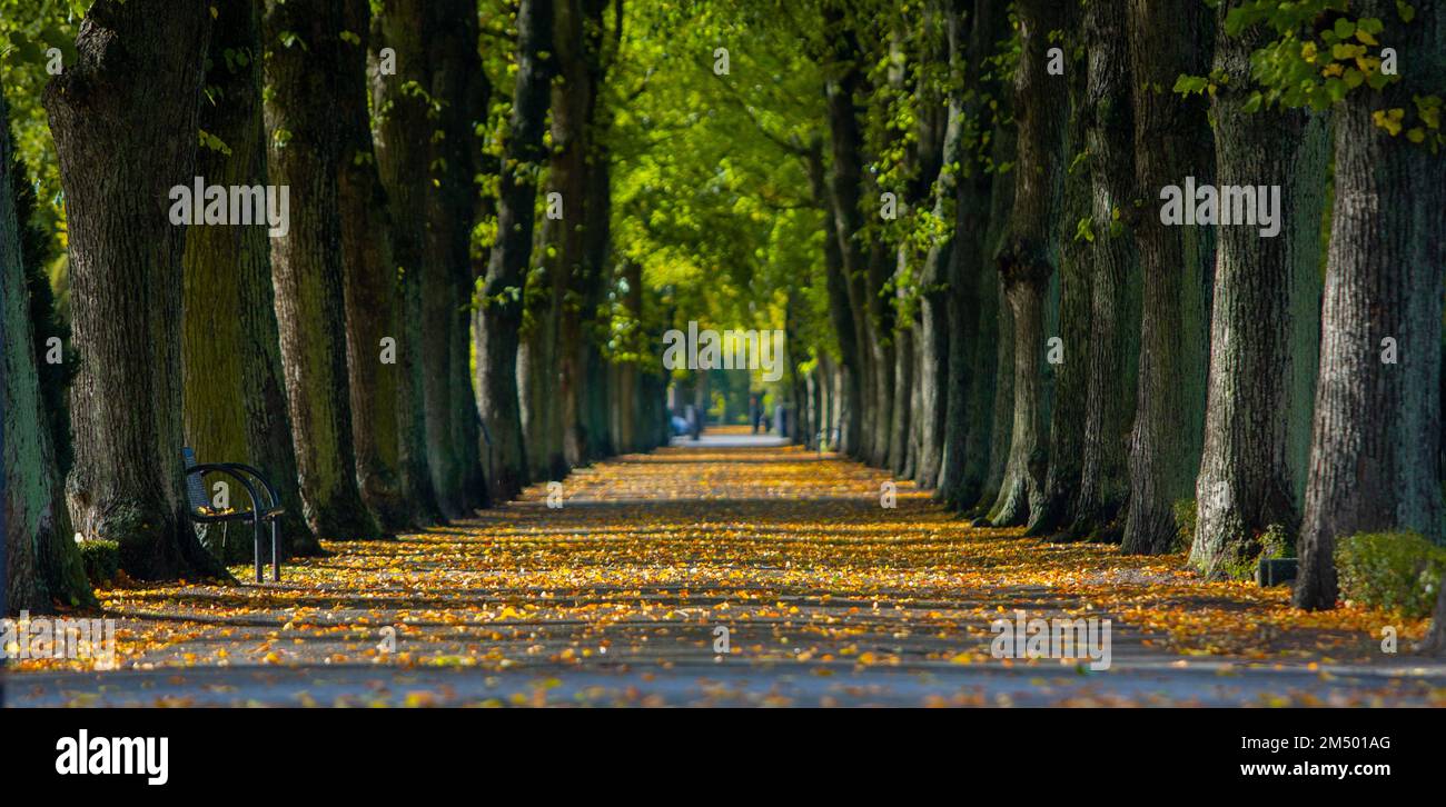 Panoramic view on path hi-res stock photography and images - Alamy