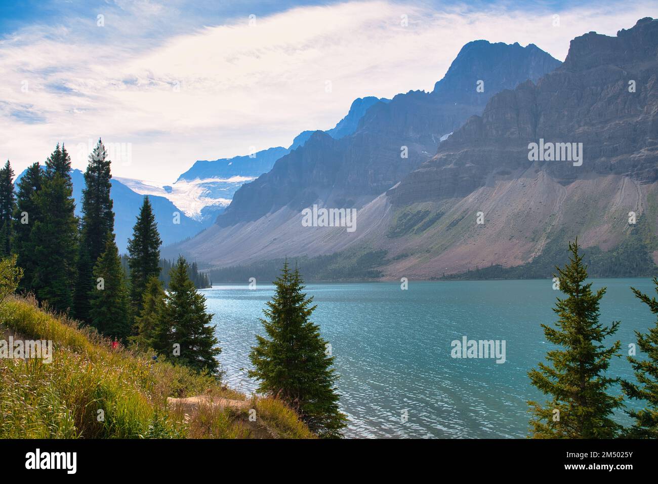 A beautiful scenery of mountain with lake behind trees in Banff and ...