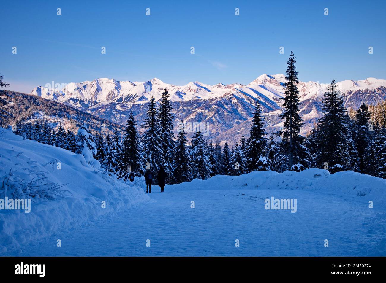 Beauty of trees hi-res stock photography and images - Alamy