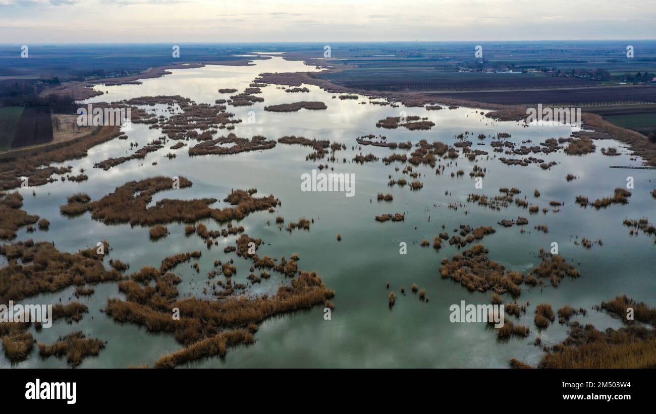 A drone shot of Ludosko lake with autumn plants and surrounded by ...