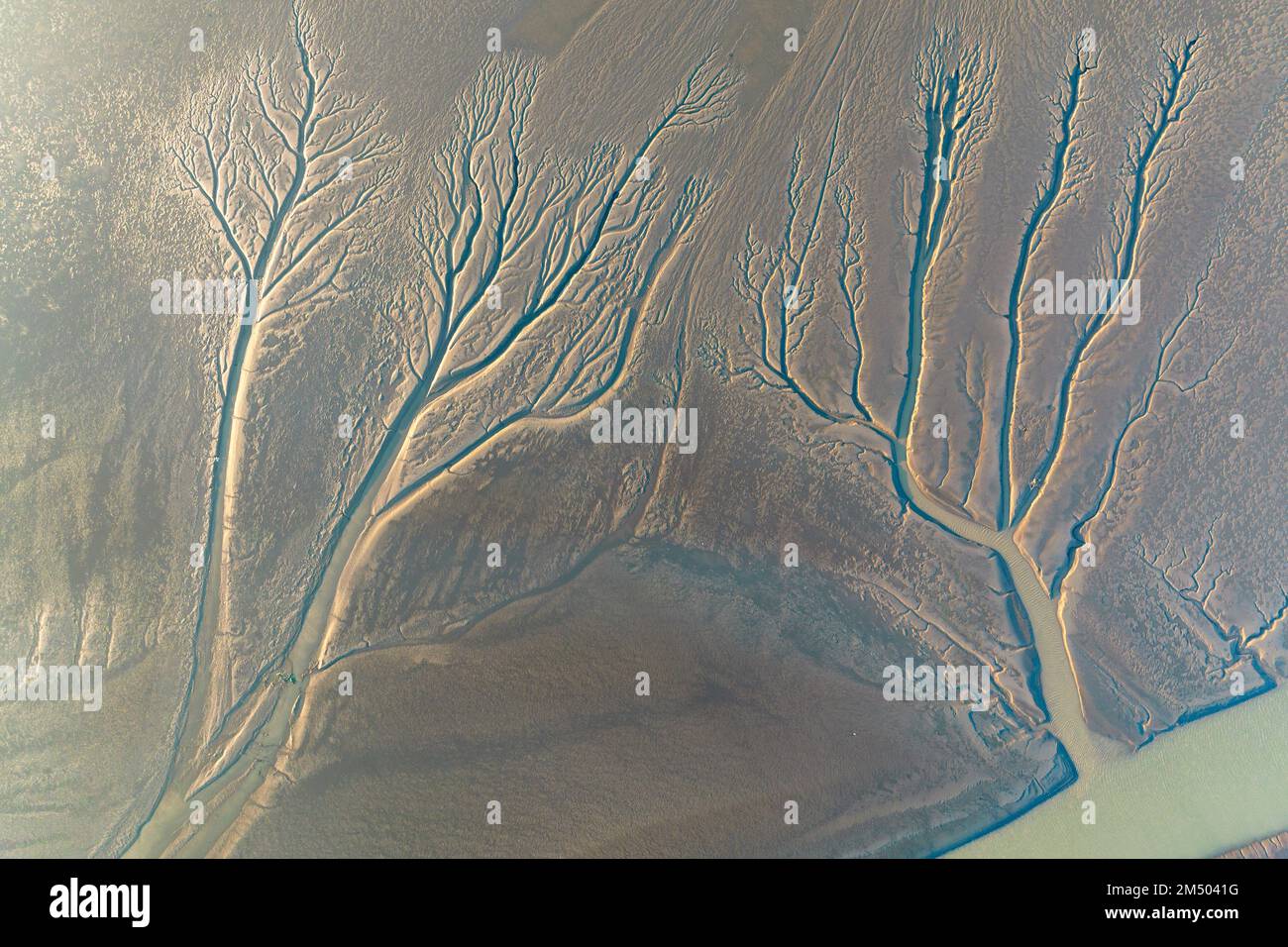 SUZHOU, CHINA - DECEMBER 24, 2022 - An aerial photo shows a "tidal tree ...